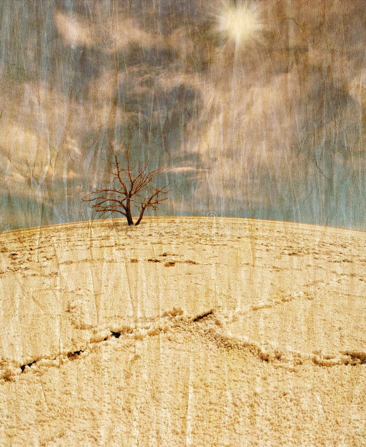 Lifeless Tree in the Salt Desert in Retro Style Stock Photo - Image of ...