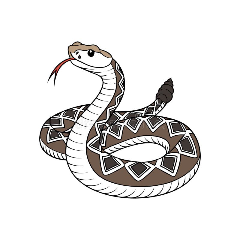 Eastern Diamondback Rattlesnake Graphics Stock Illustrations – 2 ...