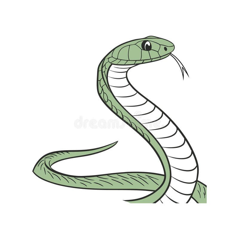 Lifelike Eastern Green Mamba Nature Graphic Stock Photo - Illustration ...