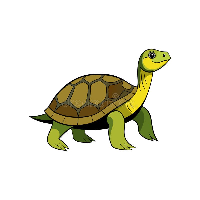 Lifelike Eastern Long-Necked Turtle Nature Graphic Stock Image ...