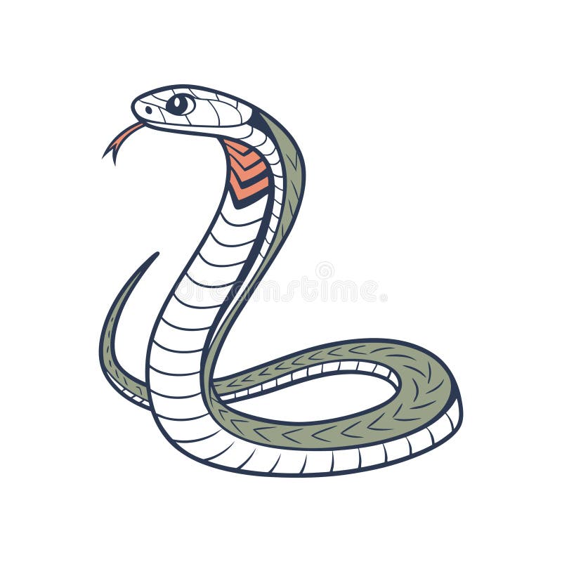 Lifelike Eastern Racer Snake Nature Graphic Stock Image - Illustration ...