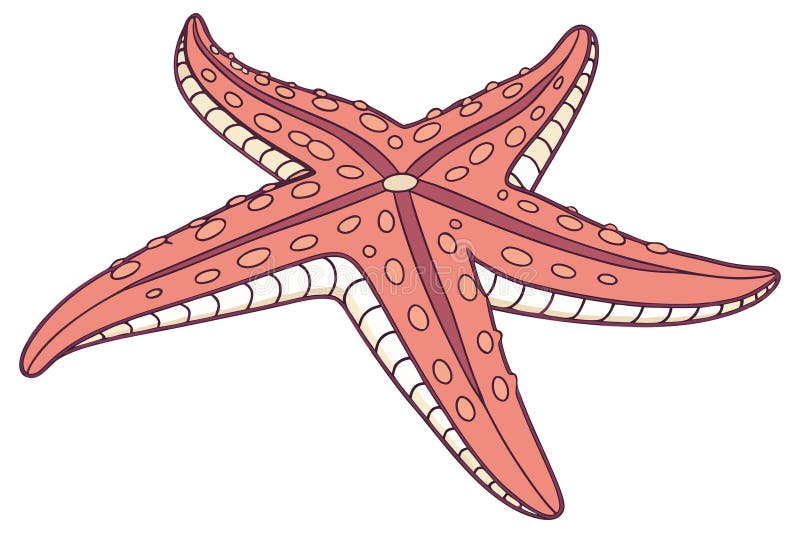 Realistic Hyper Detailed Rendering Highlight Stock Illustrations – 95 ...