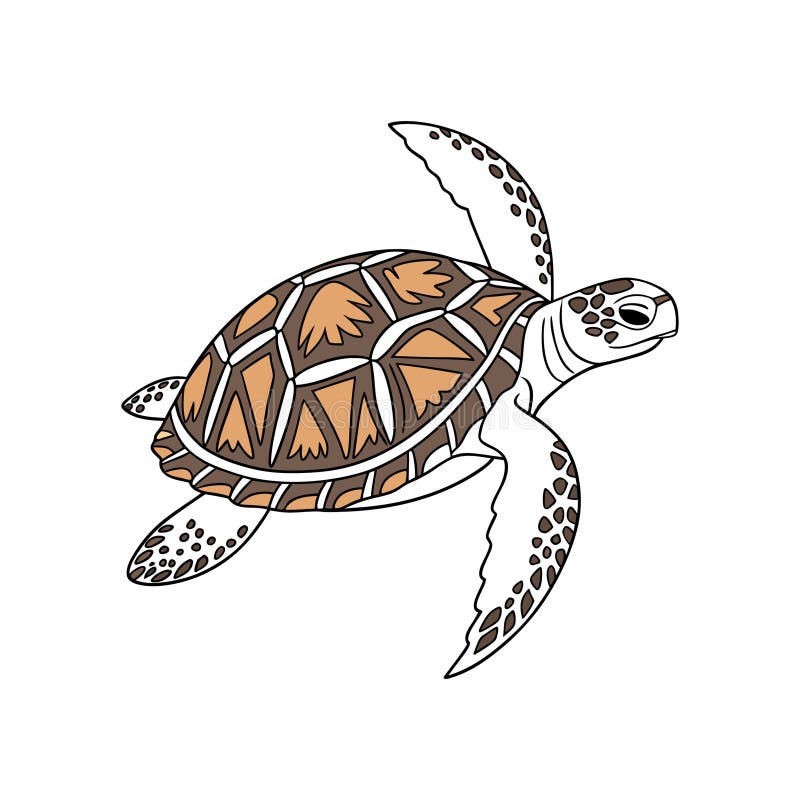 Lifelike Indian Star Tortoise Nature Graphic Stock Image - Illustration ...