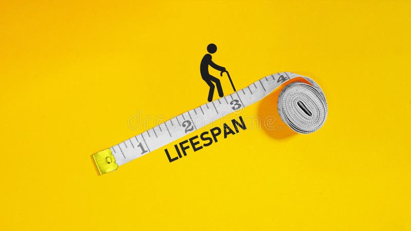 Lifespan is Shown Using the Text. Age and Longevity Concept Stock Photo ... Lifespan is Shown Using the Text. Age and Longevity Concept Stock Photo ...