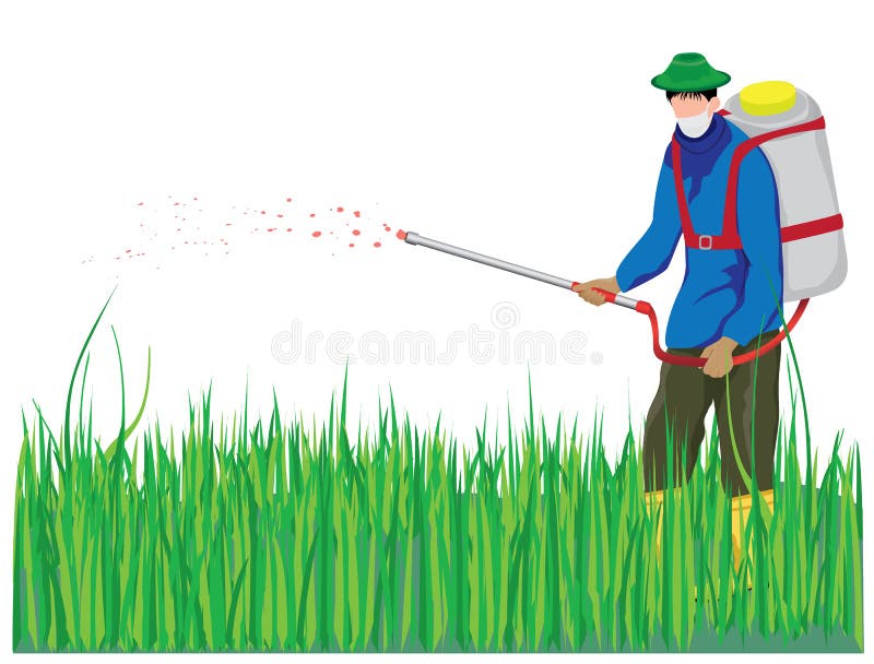 Farmer Spray Fertilizer Rice Field Stock Illustrations – 122 Farmer ...