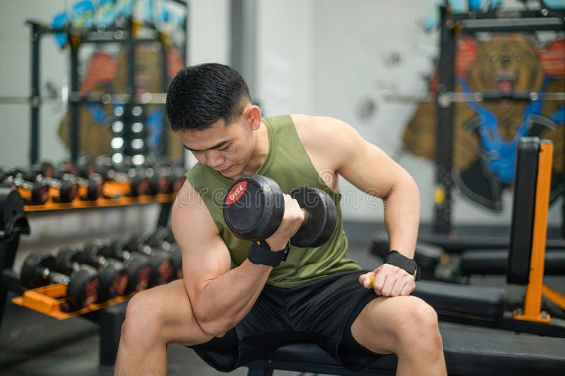 Lifting a Dumbbell To Work the Muscles in His Bicep Stock Image - Image ...