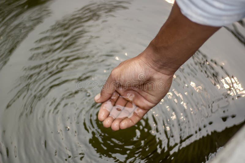 Lifting Water from the Pond by Hand Has Created a Wave of Water Stock ...