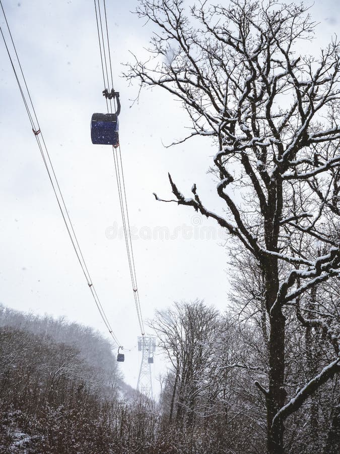 The Lifts Ride the Cable Car Over the Forest Against the Backdrop of ...