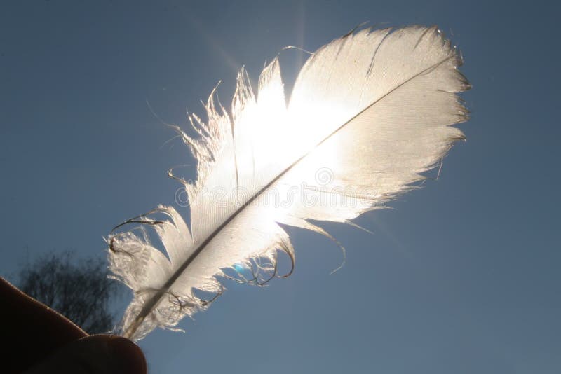 Ligereza imagen de archivo. Imagen de vuelo, libertad - 1409211