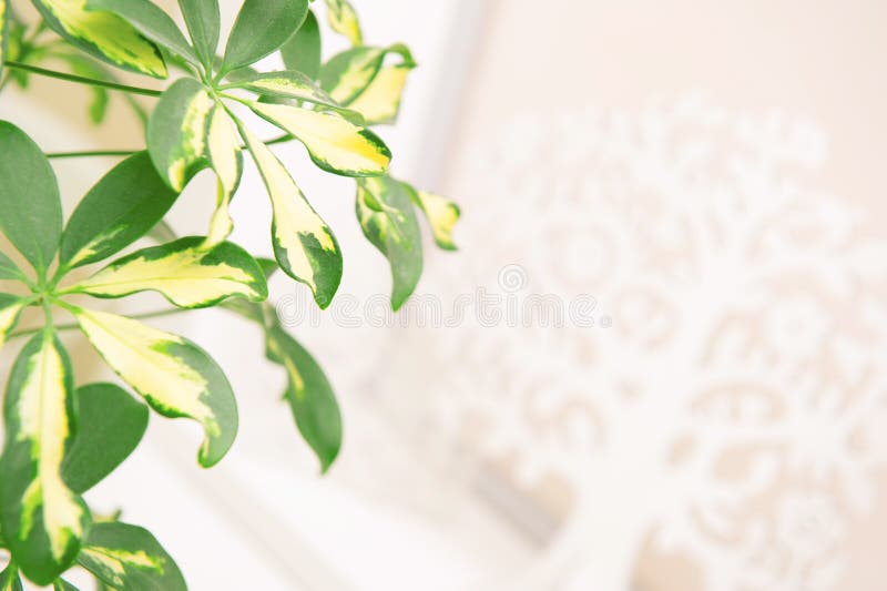 Light Abstract Background with Green Plants Stock Image - Image of ...