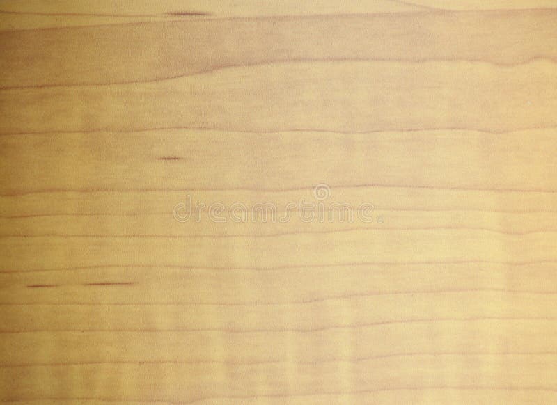 Light Alder Natural Wood Texture Close-up on a Cut Stock Photo - Image ...
