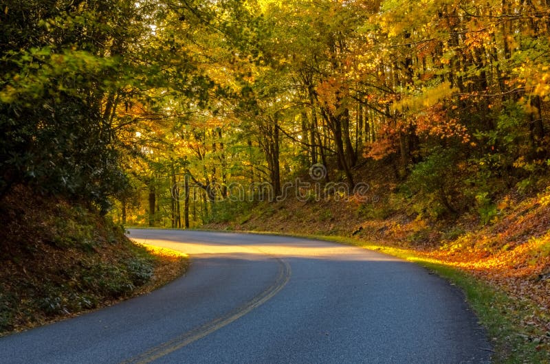 Light Around the Corner stock photo. Image of leaves - 64477836