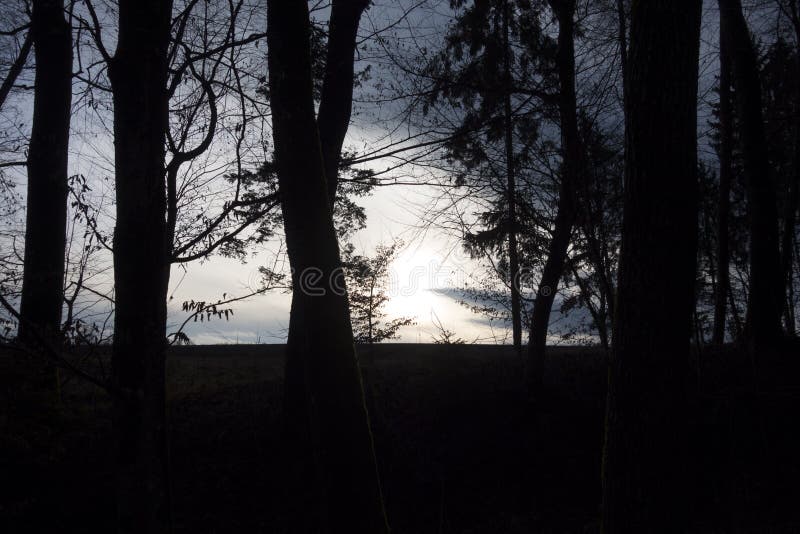 3,112 Life Force Energy Stock Photos - Free & Royalty-Free Stock Photos ...