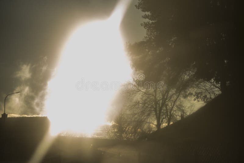 Light As Life Force in Nature Stock Image - Image of solar, fair: 282460061