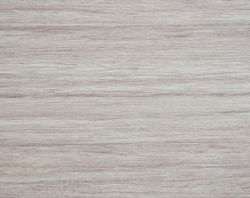 Light Ash, a Flat Surface of Natural Wood, Close-up on a Cut Stock ...