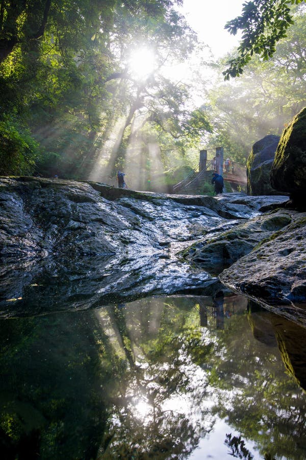 Light beam of the valley stock photo. Image of valley - 247236576
