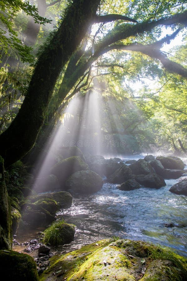 Light beam of the valley stock image. Image of river - 247236859