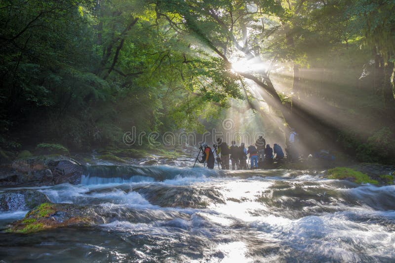 Light beam of the valley editorial stock image. Image of river - 247237179