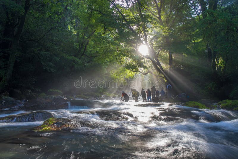 Light beam of the valley stock image. Image of valley - 247237357