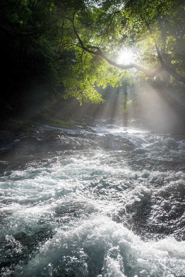 Light beam of the valley stock photo. Image of view - 247237408