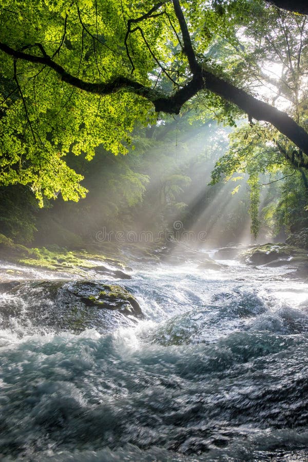 Light beam of the valley stock photo. Image of green - 247237640