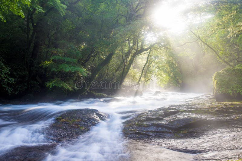 Light beam of the valley stock photo. Image of beam - 247236546