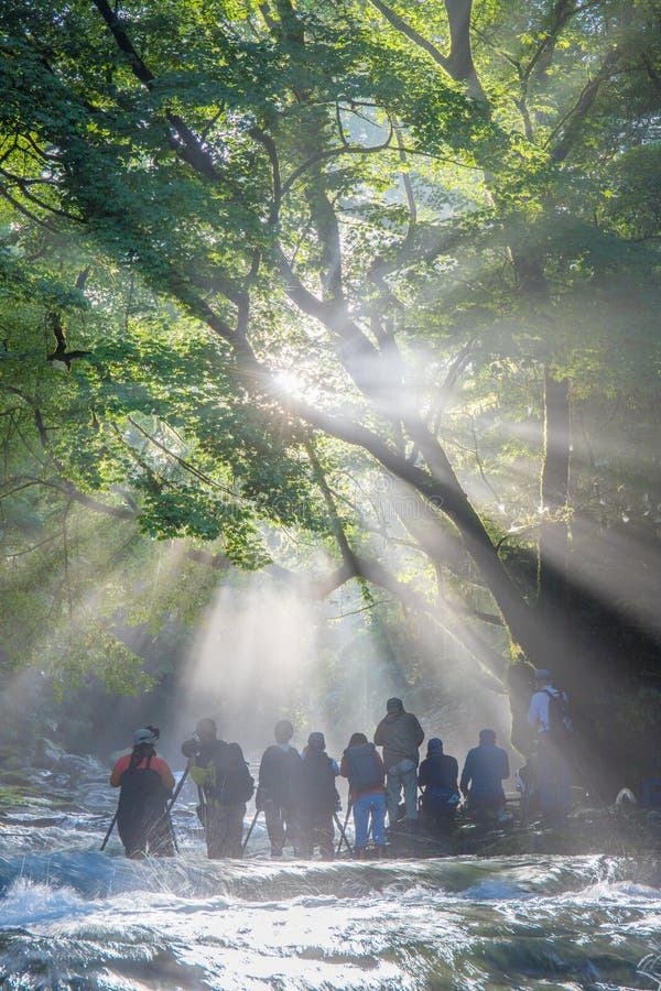 Light beam of the valley stock photo. Image of light - 247237220