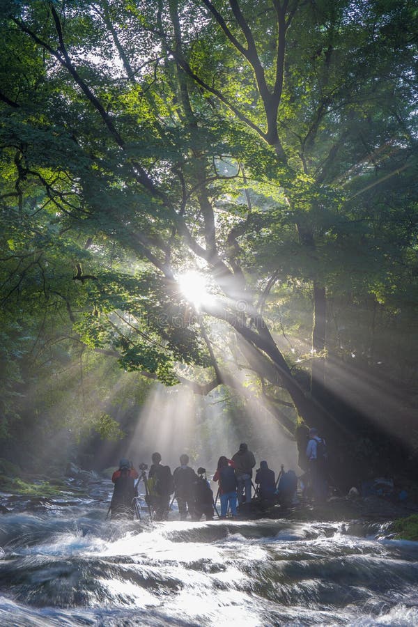 Kikuchi Gorge Stock Photos - Free & Royalty-Free Stock Photos from ...