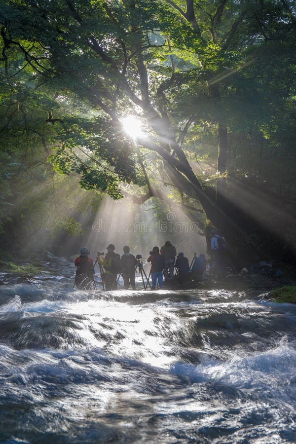 Light beam of the valley stock image. Image of beam - 247237275