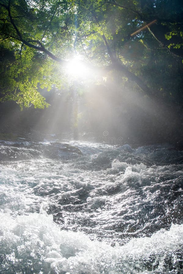 Light beam of the valley stock photo. Image of river - 247237500