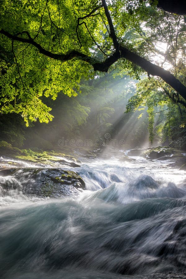 Light beam of the valley stock photo. Image of kikuchi - 247237606