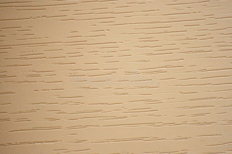 Light Beech, Natural Wood with a Characteristic Close-up Pattern Stock ...