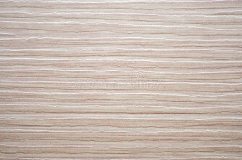 Light Beech with a Pink Tint, a Flat Surface of Natural Wood on a Cut ...