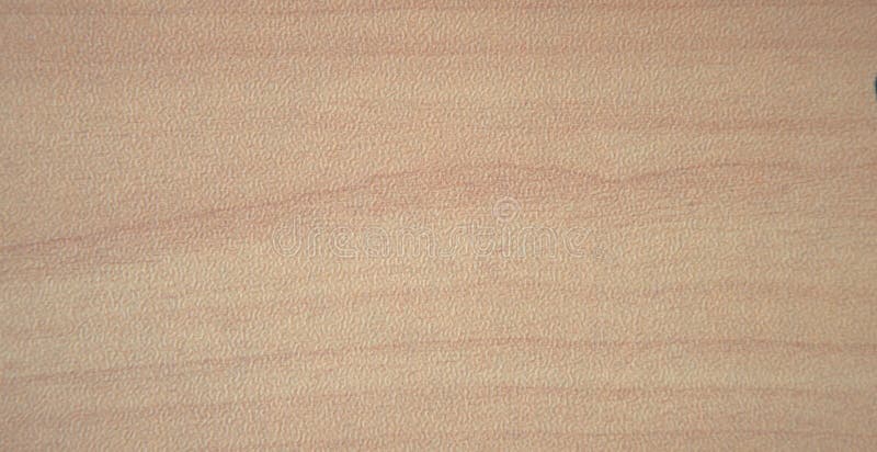 Light Beech, Rich and Textured Natural Wood Pattern Stock Photo - Image ...