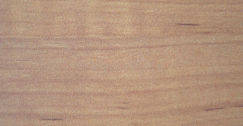 Light Beech, Rich and Textured Natural Wood Pattern Stock Image - Image ...