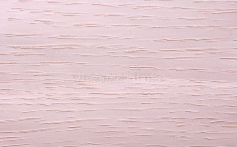 Light Beech, Texture of Natural Wood on a Cut, Close-up Stock Image ...