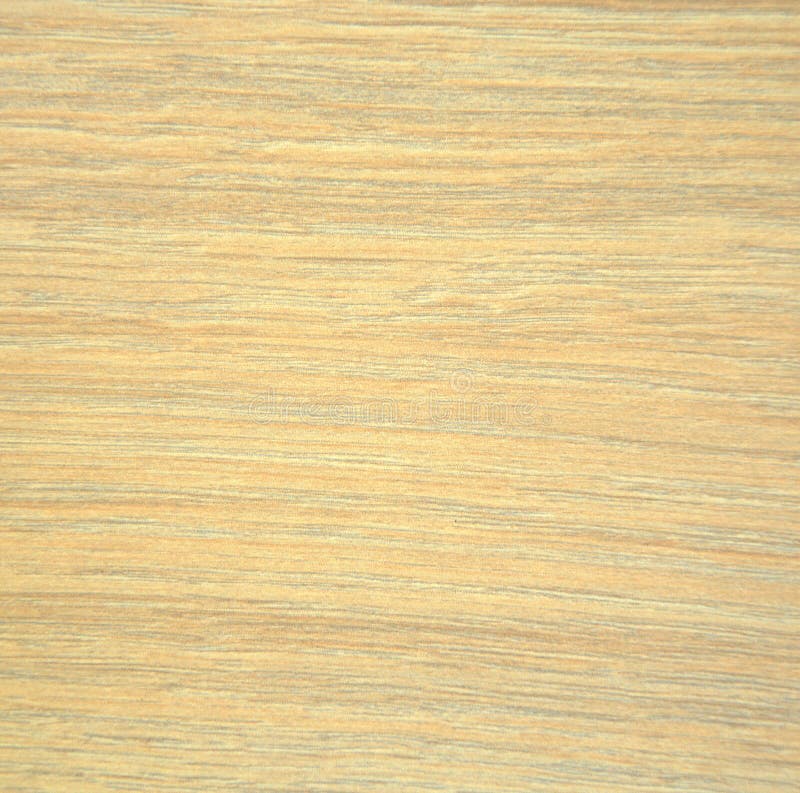 Light Beech, Texture of Natural Wood on a Slice Closeup Stock Photo ...