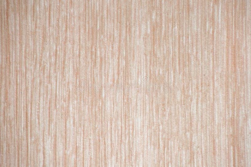 Light Beech, Vertical Stripe Pattern on Natural Wood Cut Stock Photo ...