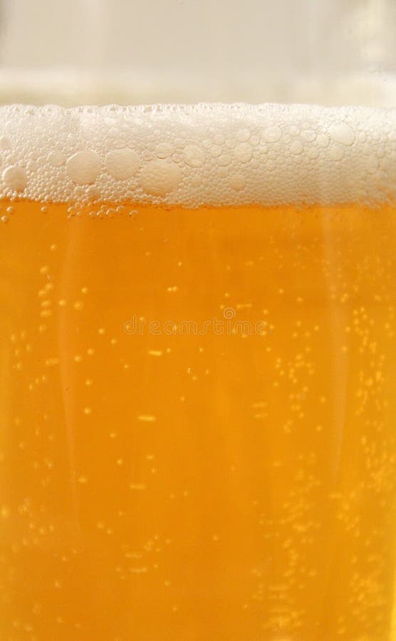 Light Beer stock image. Image of lager, fresh, pale, drink - 85150577