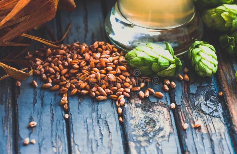 Light Beer, Malt, Hops, Barley Ears on the Table Stock Image - Image of ...