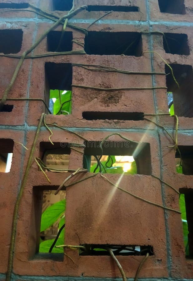 The Light Behind the Embers Stock Image - Image of green, light: 357635909