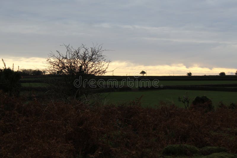 Light behind the tree stock image. Image of moors, devon - 165831573