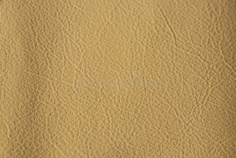 Light Beige Background from Genuine Leather, Solid Beige Background ...