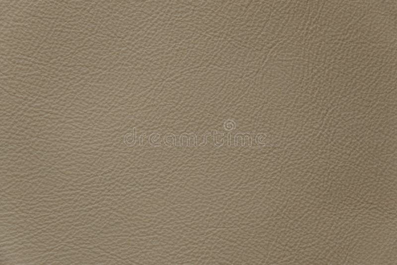 Light Beige Background from Genuine Leather, Solid Beige Background ...