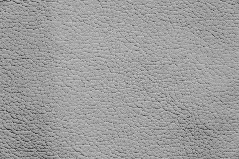 Light Beige Background from Genuine Leather, Solid Beige Background ...