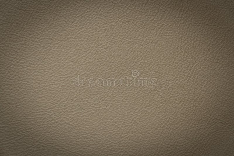 Light Beige Background from Genuine Leather, Solid Beige Background ...