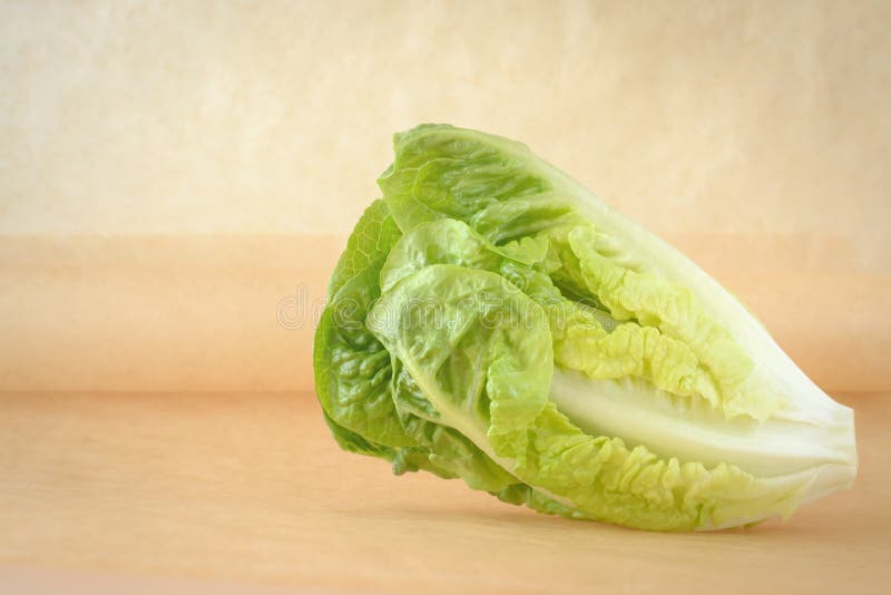 Light Beige Background with Green Lettuce Leaves Stock Image - Image of ...