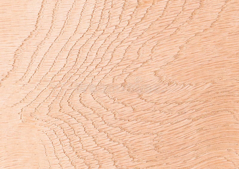 Light Beige Laminate with Wood Look with a Textured Surface Stock Photo ...