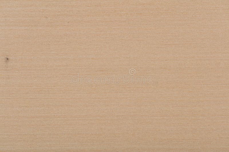 Light Beige Maple Veneer Background As Part of Your Design. High ...