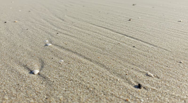 Light Beige Sand Beach Texture with Subtle Wave Ripples Stock ...